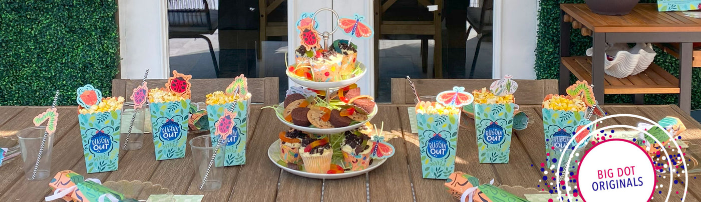 Party Supplies, Decorations, Favors & Ideas | BigDotOfHappiness.com#N ...