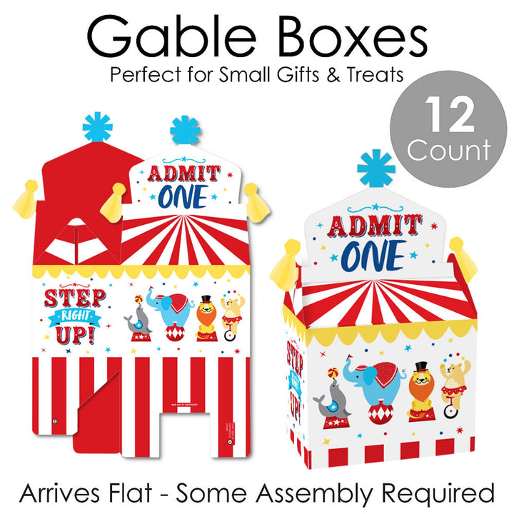 Carnival Party Gifts Circus Birthday Of Baby Shower Theme | Pink Girl
